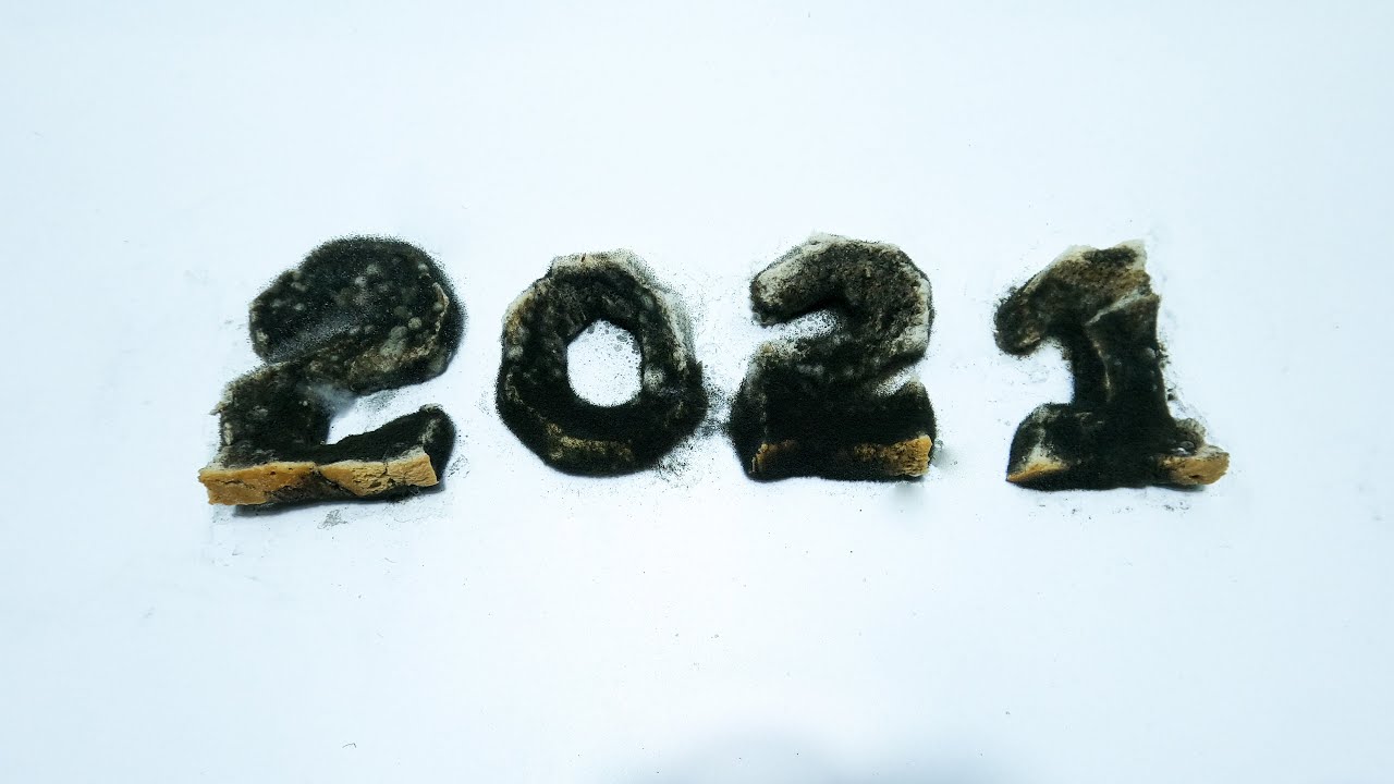 2021 Time Lapse - Decomposition Bread - YouTube