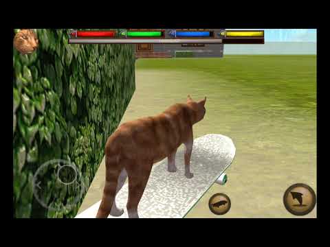 The true cat 🐱ultimate cat simulator #2 - YouTube