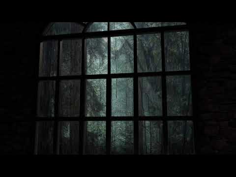 Go to Sleep in the Rain Forest | Rain on window | Rain sounds 8 Hours ...