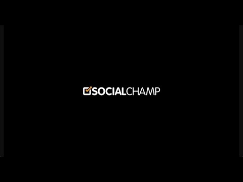 Champ AI Suite Walkthrough - Basic - YouTube