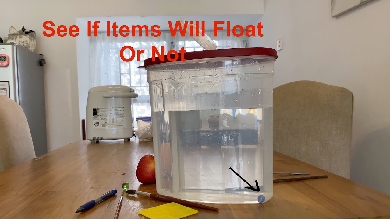 See If items Will Float Or Sink - YouTube
