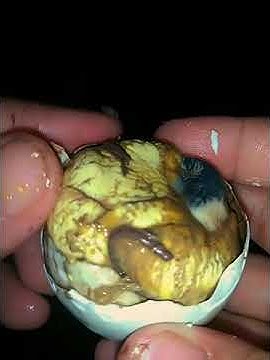 How To Eat Balut (Fertilized Duck Egg Delicacy) - YouTube