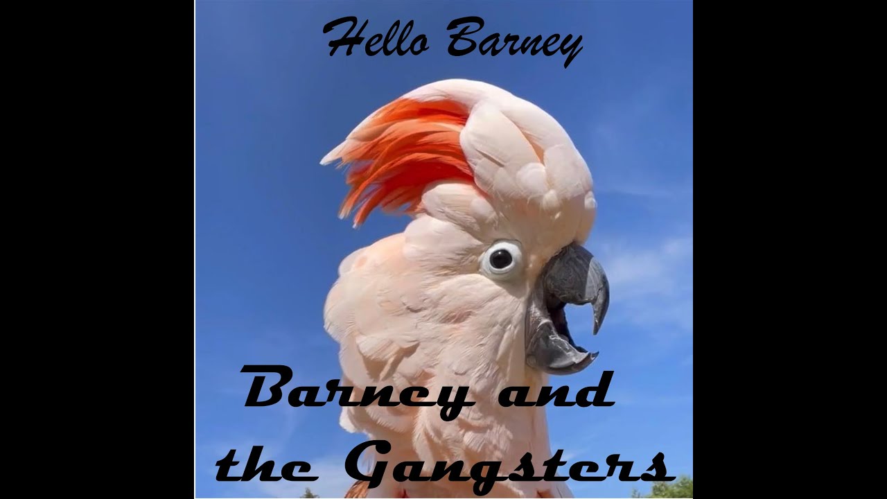 Hello Barney - Barney and the Gangsters (Updated) - YouTube