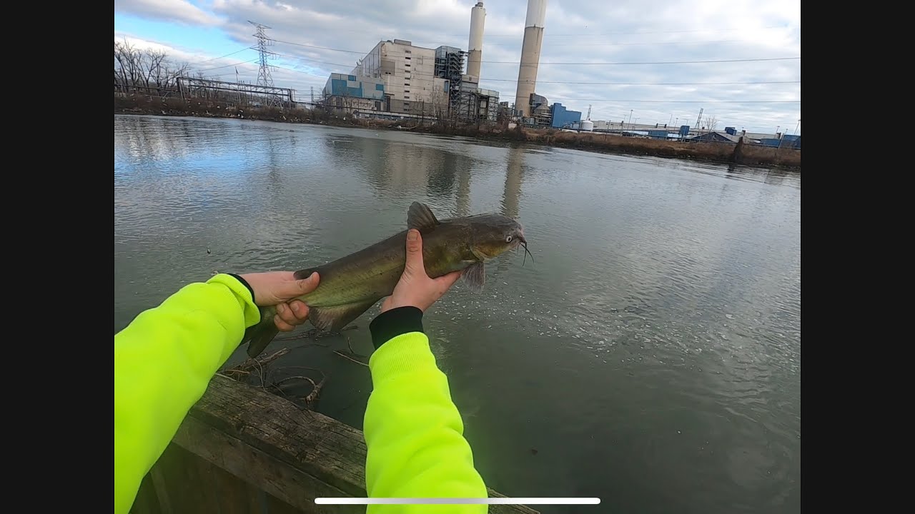 MICHIGAN HOT POND CATFISHING - YouTube