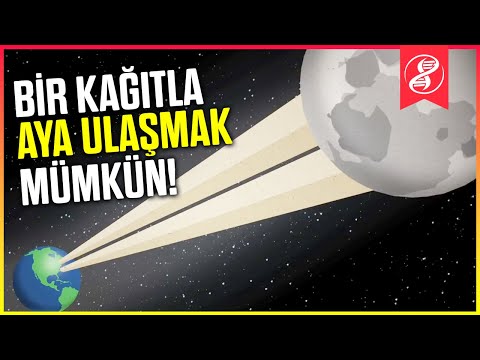 Ay'a Kadar Kağıt, Boğazımıza Kadar Bakteri!