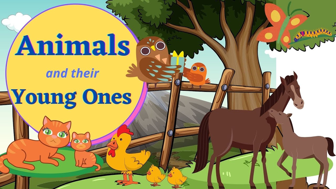 Animals and their young ones | Animals and their babies | animal ...