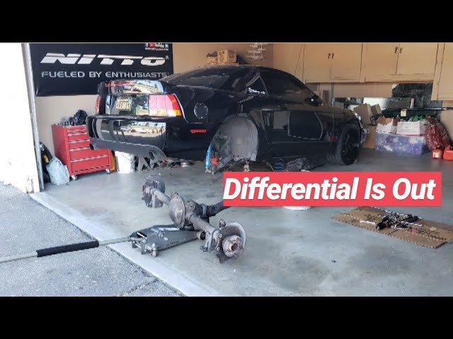 Mustang Rear End Differences, 54% OFF | www.pinnaxis.com Mustang Rear End Differences, 54% OFF | www.pinnaxis.com