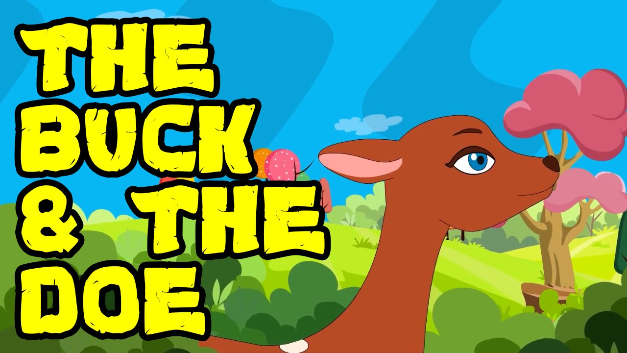 Animated & Cartoon Stories For Kids || The Buck and The Doe - YouTube