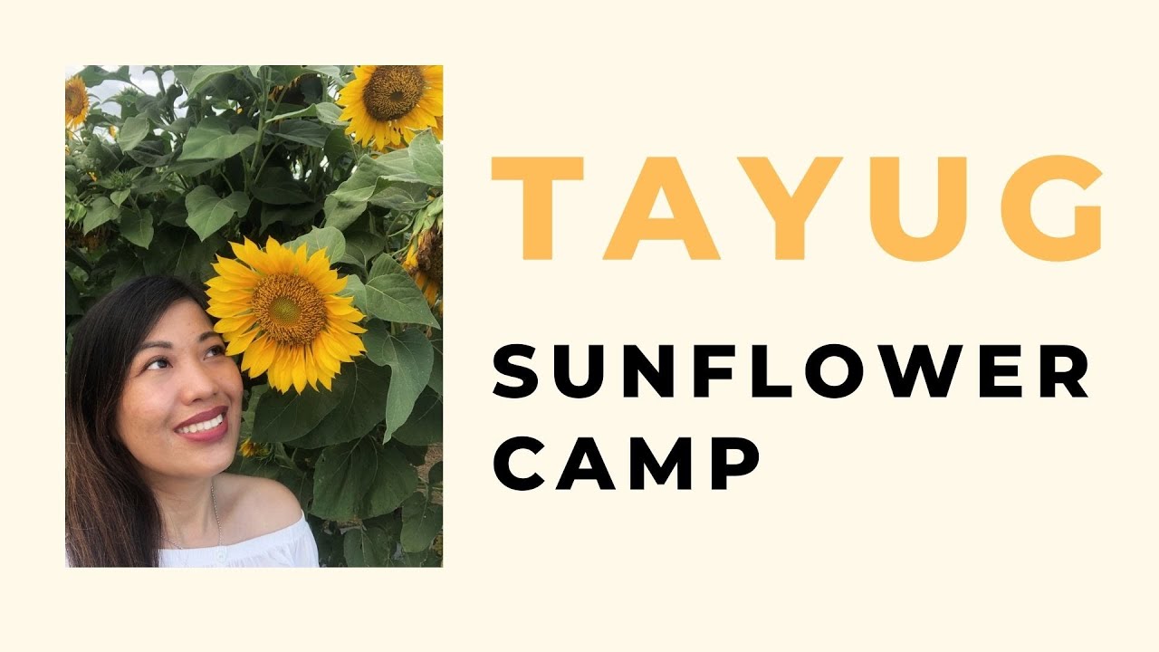 SUNFLOWER CAMP in Pangasinan, Philippines - YouTube