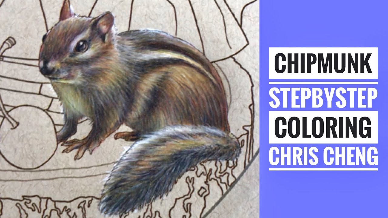 How to Color CHIPMUNK | Colored Pencils // Chris Cheng - YouTube