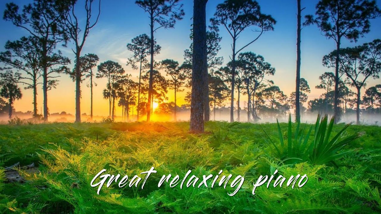 Nhạc Thư Giãn Tuyệt Hay | Nhạc Piano Nhẹ Nhàng Giảm Stress Hiệu Quả ...