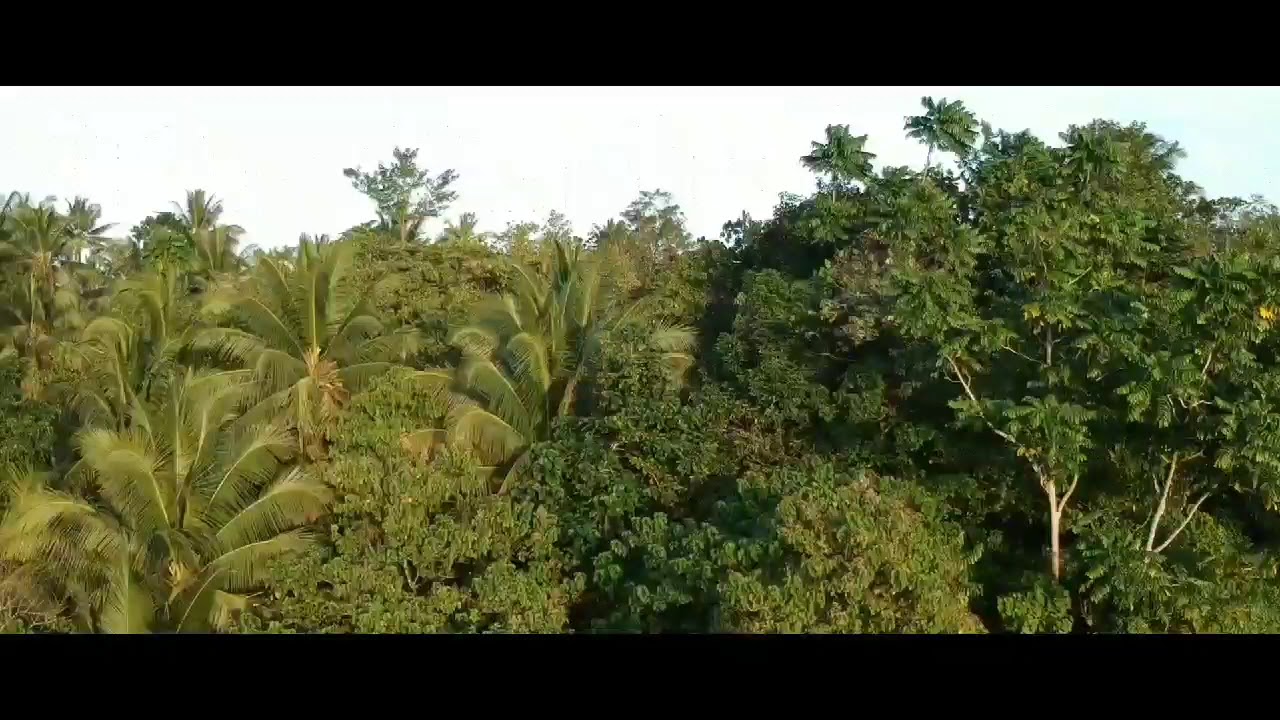 Magangon Polanco zamboanga del norte. Mindanao island Philippines - YouTube