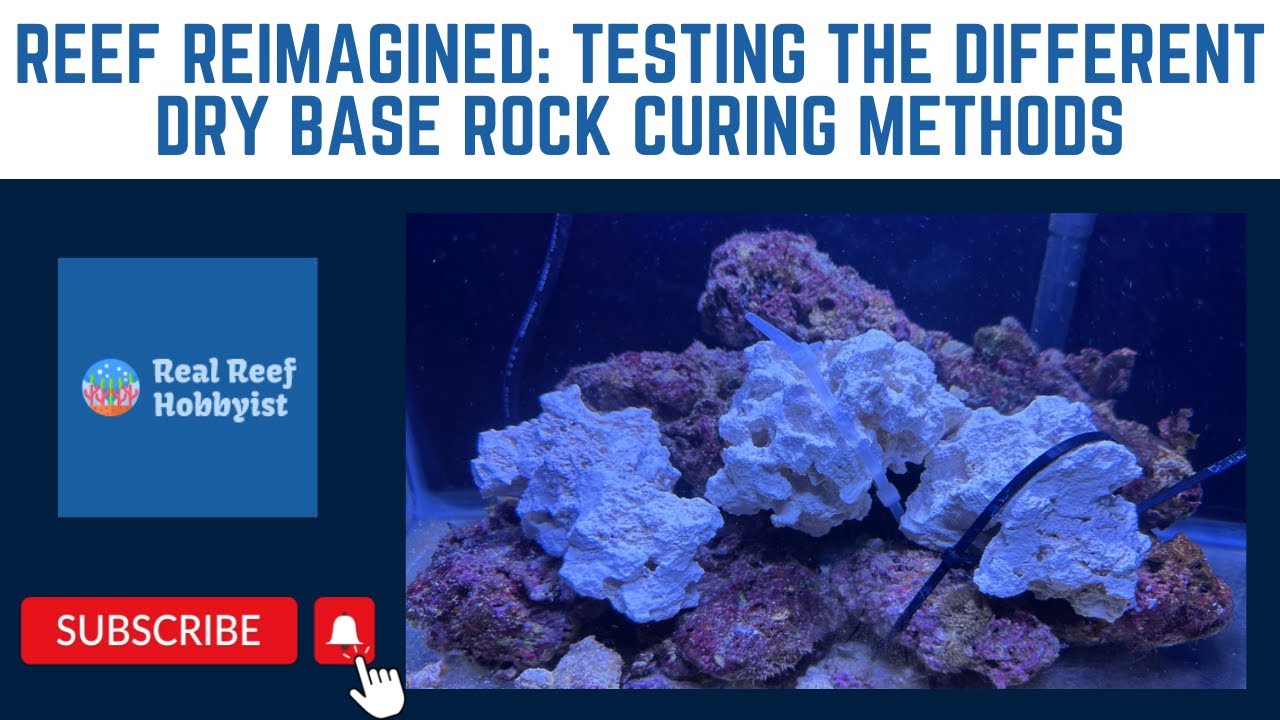 Reef Reimagined: Testing the Best Method to Cure Dead Base Dry Rock ...