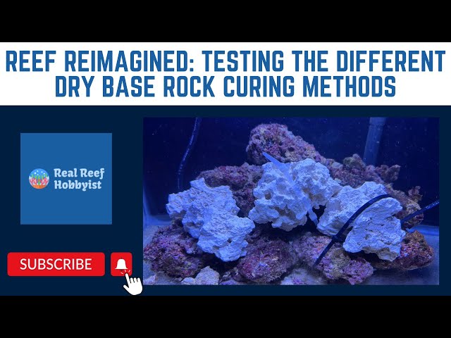 Aquarium Base Rock Photos Reef Saver SHELF Dry Rock 25 Lb. Box Best