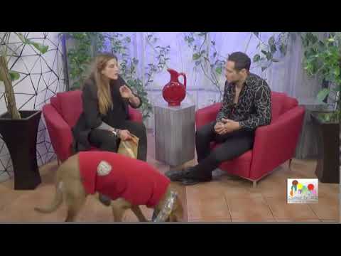 Mariam Luzcan | Perro ve colores | Cangeles Refugio - YouTube