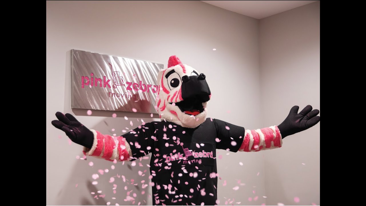 Pink Zebra Moving Customer Testimonials - YouTube