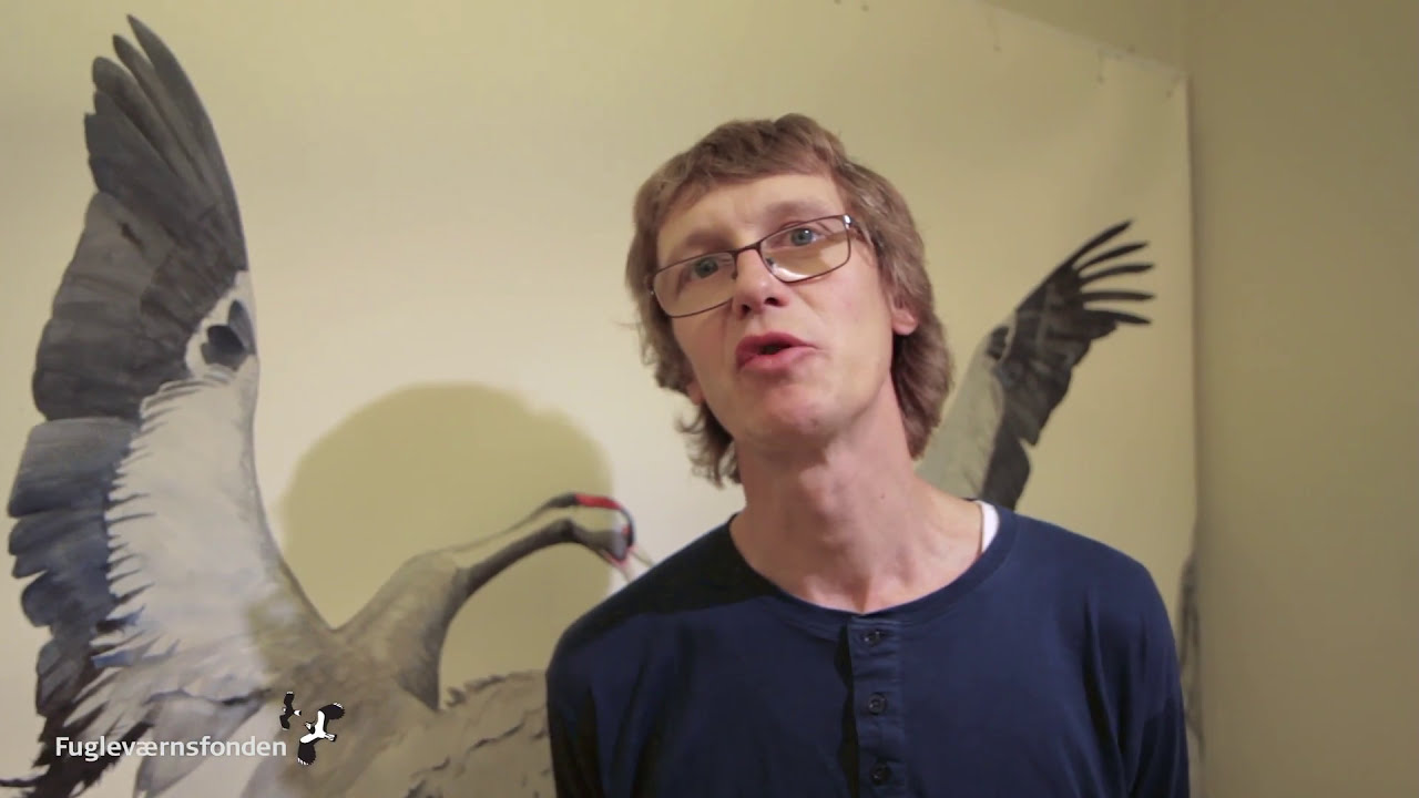 Fuglestafet Carl Christian Tofte - YouTube