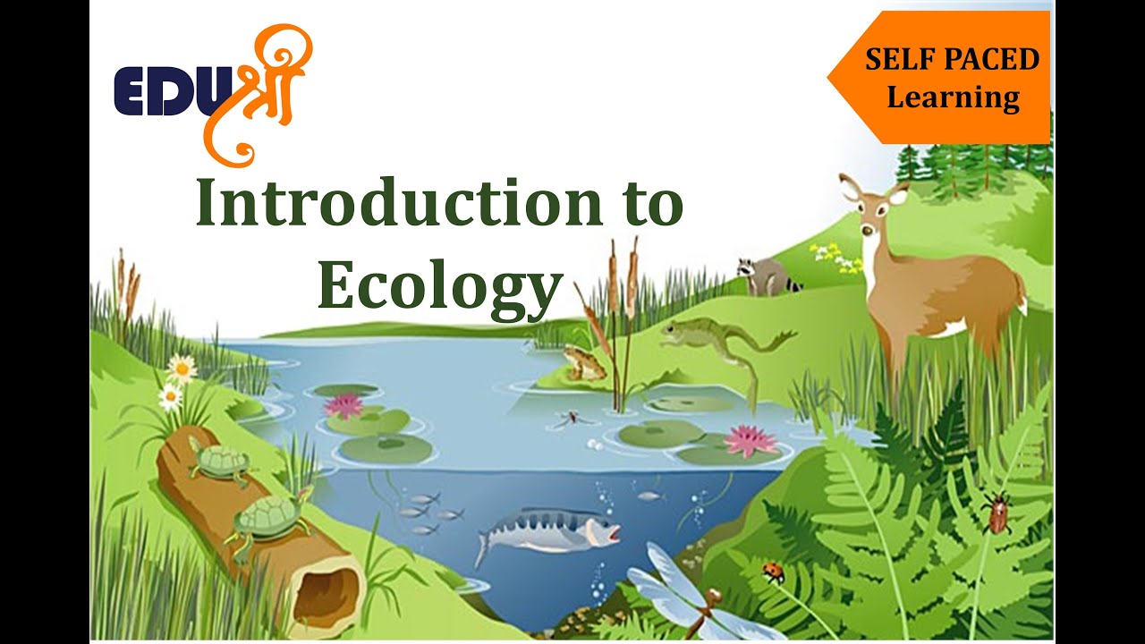 Introduction To Ecology YouTube introduction-to-ecology-youtube
