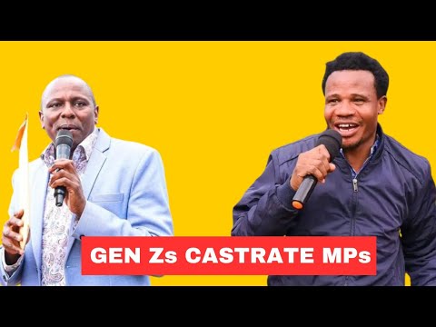 KIMEUMANA! PK SALASYA, RUTO MPs CASTRATED LIVE BY GEN Zs ON TWITTER {X ...