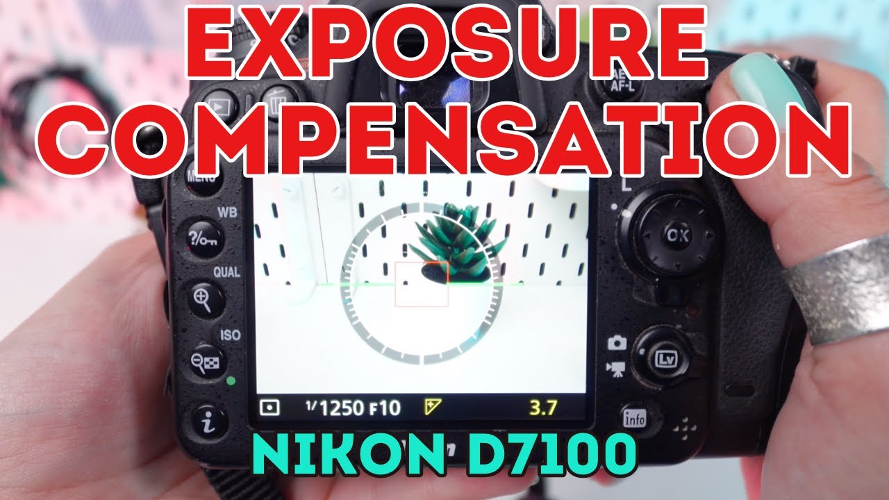 Master Exposure on Your Nikon D7100: How To Use Exposure Compensation ...