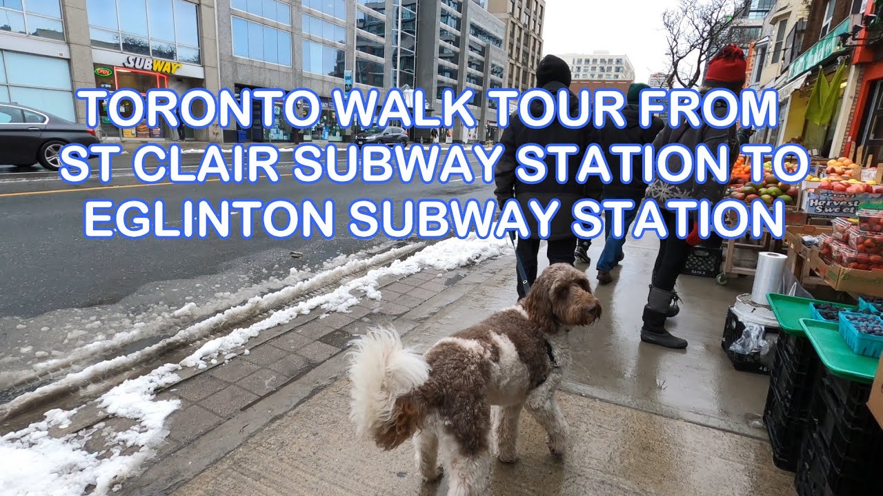 Toronto Walk Tour | First Toronto Walk Tour In 2021 - YouTube