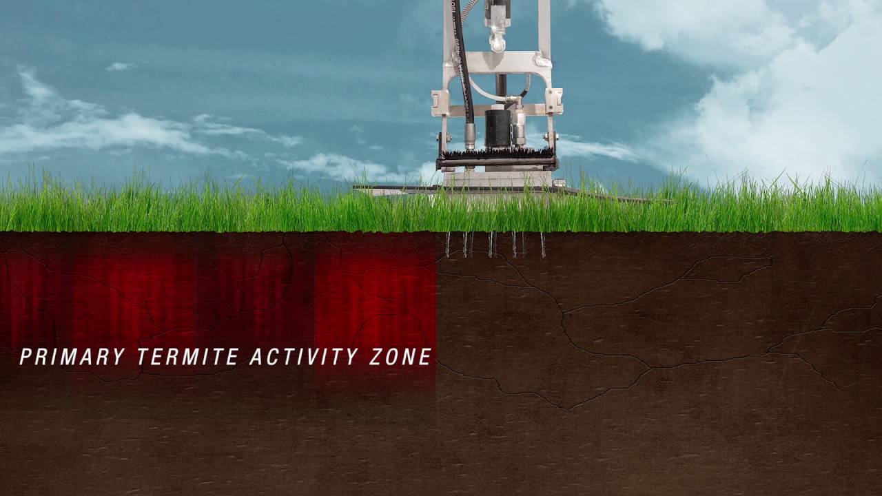 Awesome: New Termidor HP High Precision Injection System for Termites ...