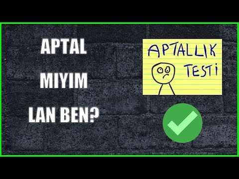 BEN BİR APTALIM
