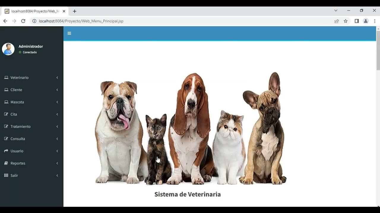 SISTEMA VETERINARIA JAVA WEB MVC CON MYSQL - YouTube