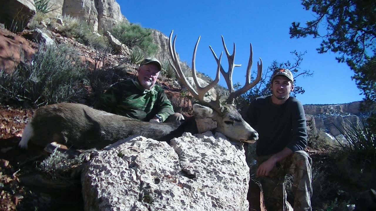 13b Strip Monster Buck DOWN 248' - YouTube