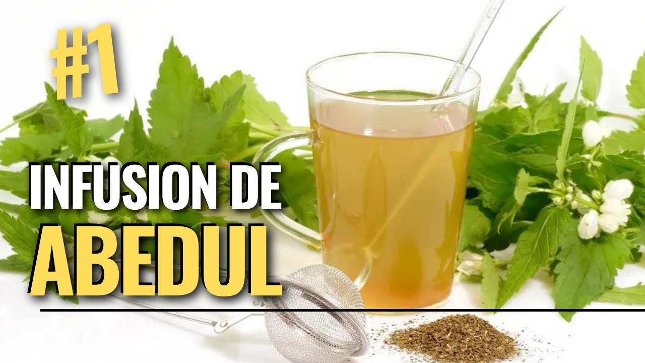 Como preparar una infusion de abedul y para que sirve - YouTube