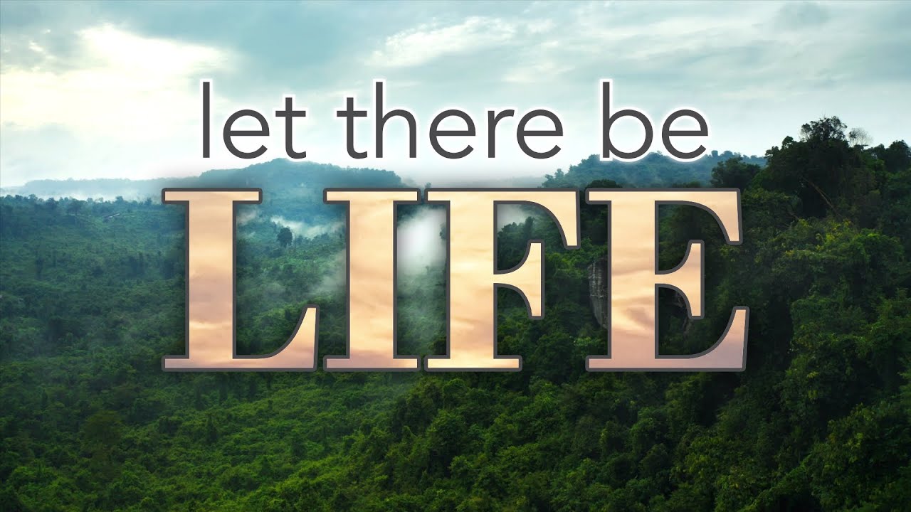 Let There Be Life - The Days of Creation (a short film) - # ...