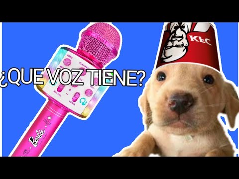 probando el micrófono 😎🐕 (el perrito gracioso voice reveal) - YouTube