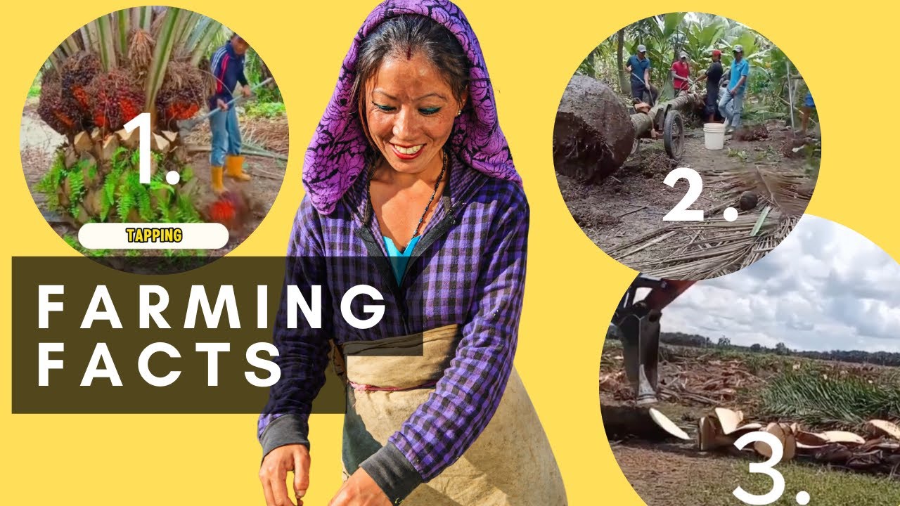 Your Snapshot of Farming Facts! - YouTube