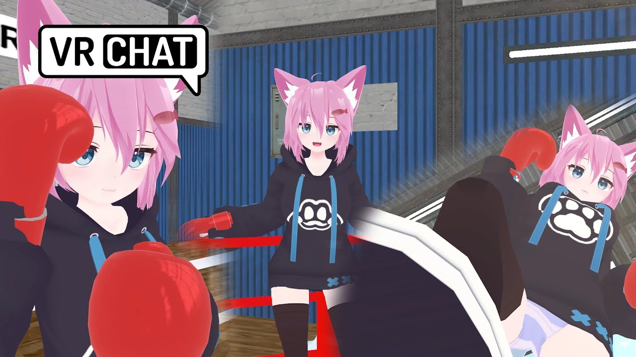 Pupper Pop🍇 VRchat POV BOXING - YouTube