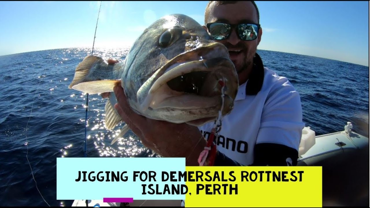 Slow Pitch Jigging Perth WA, Dhufish On Jigs Near Rottnest Island - YouTube