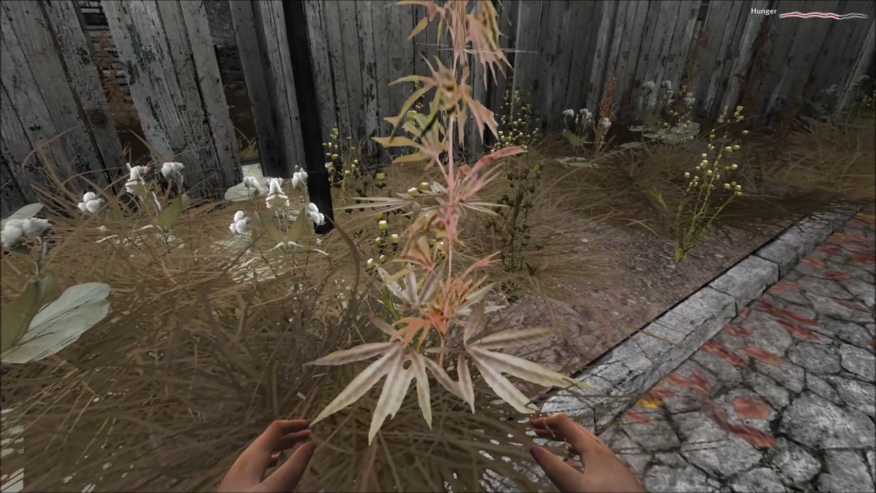 Let's Play Pathologic: The Changeling Day 2 - YouTube