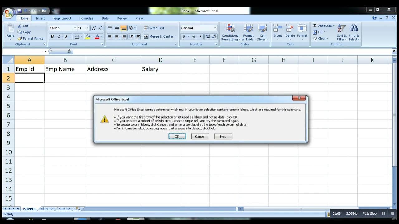 DATA ENTRY IN MS EXCEL FORM BY ARYAN SIR - YouTube