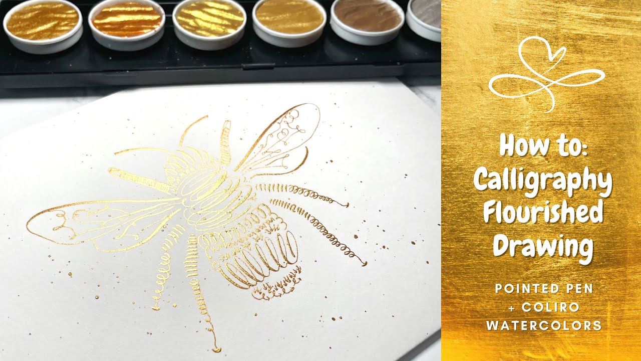How to: Calligraphy Flourished Drawing - Pointed Pen + Coliro ...