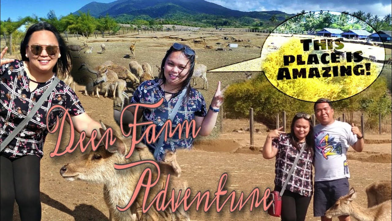 Deer Farm || @Mt. Isarog || T Cher Kath - YouTube