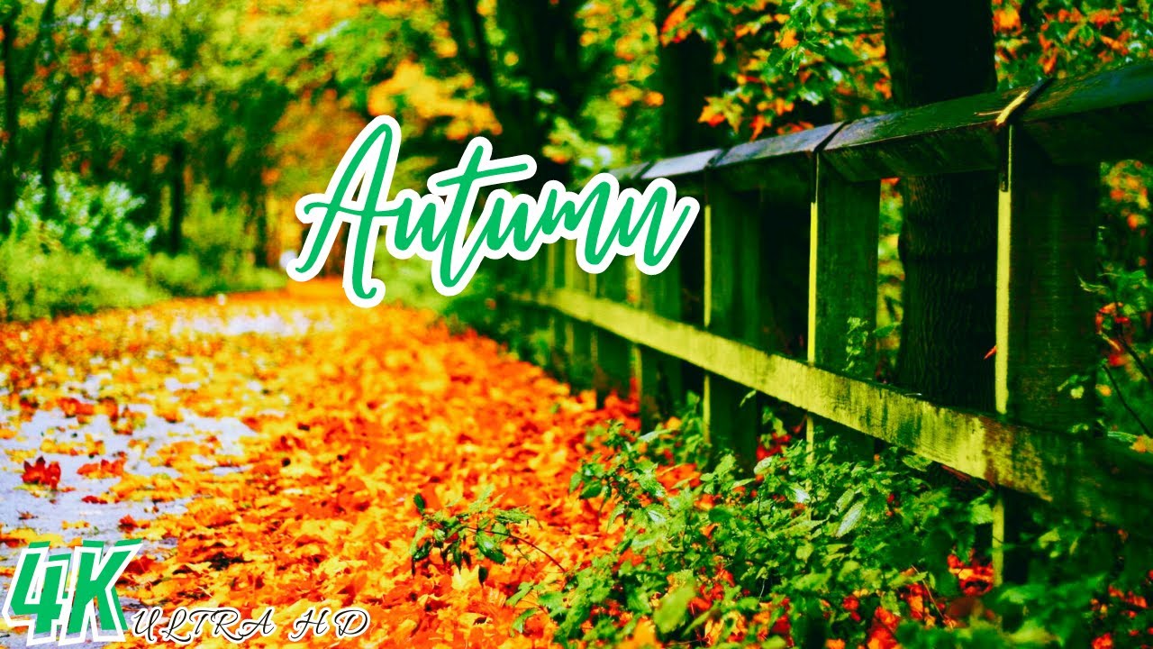 Autumn Nature Scenes + Relaxing Piano Music for Stress Relief - YouTube