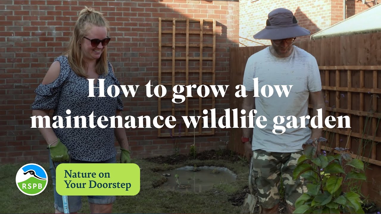 How to grow a low maintenance wildlife garden | RSPB Nature on Your ...