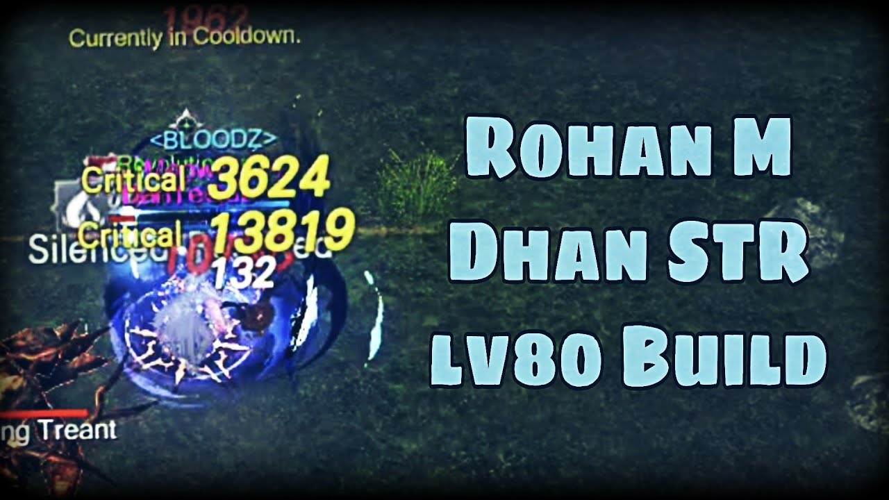 UPDATE BUILD DHAN STR DMG MULTYPLIER ROHAN M - YouTube