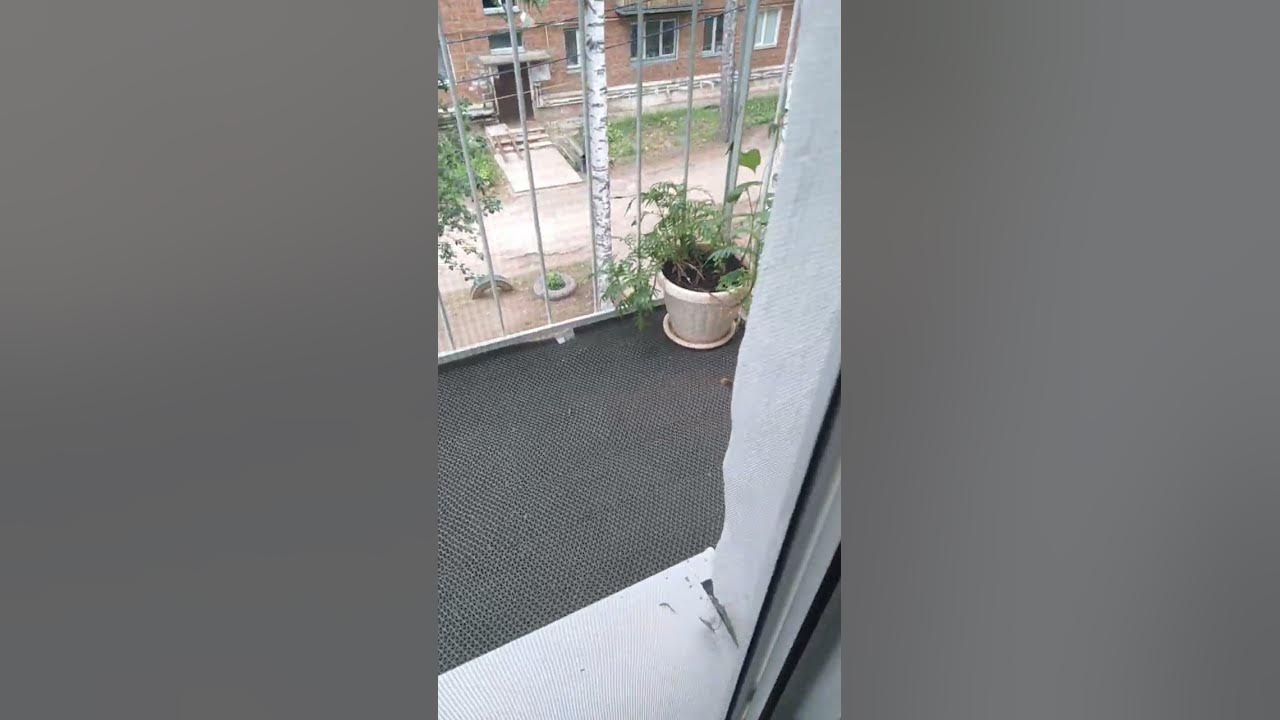 Незваный гость хуже татарина Youtube