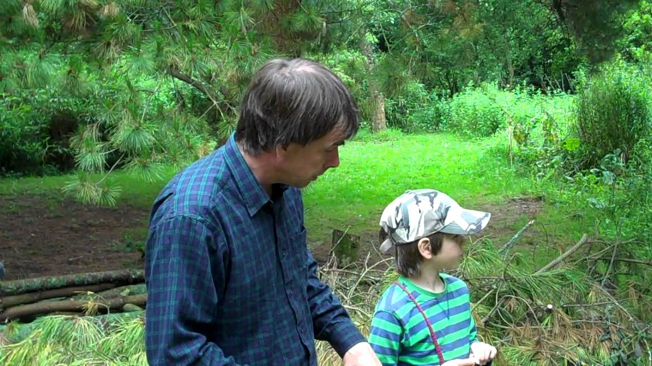 Martin Crawford's Forest Garden Part 9 - YouTube