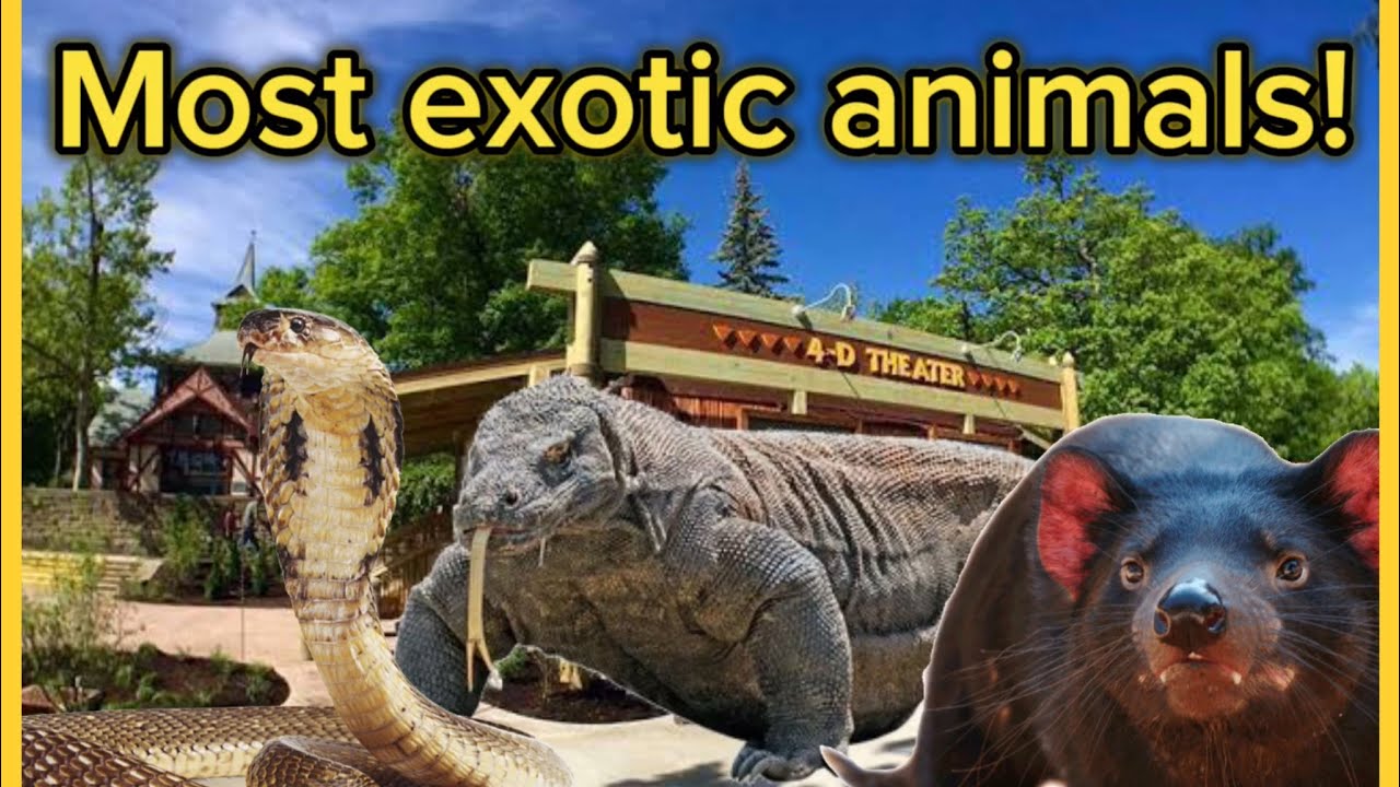 Visiting a zoo with the most exotic animals!! - YouTube