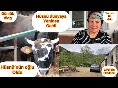 DELİ TOSUNUN OĞLU OLDU / ABİM HASTA / AHIRDA İŞLER BANA KALDI