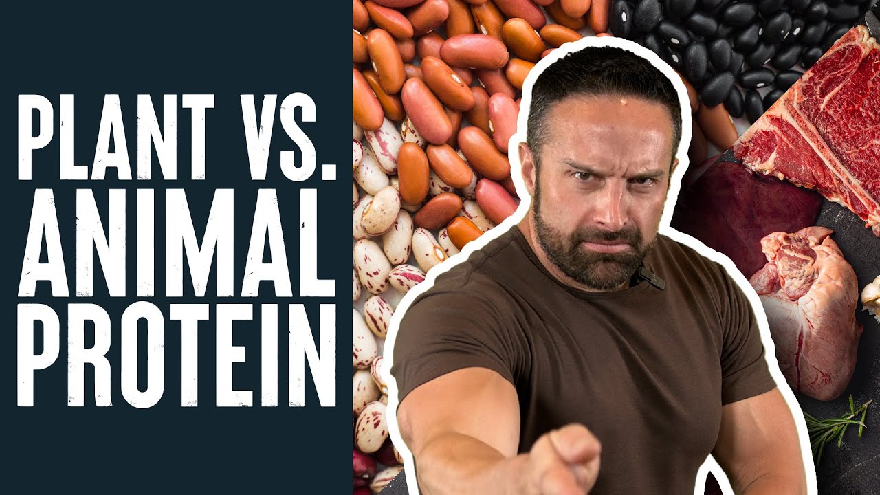 Animal Protein Beats Plant Protein for Building Muscle | Educational ...