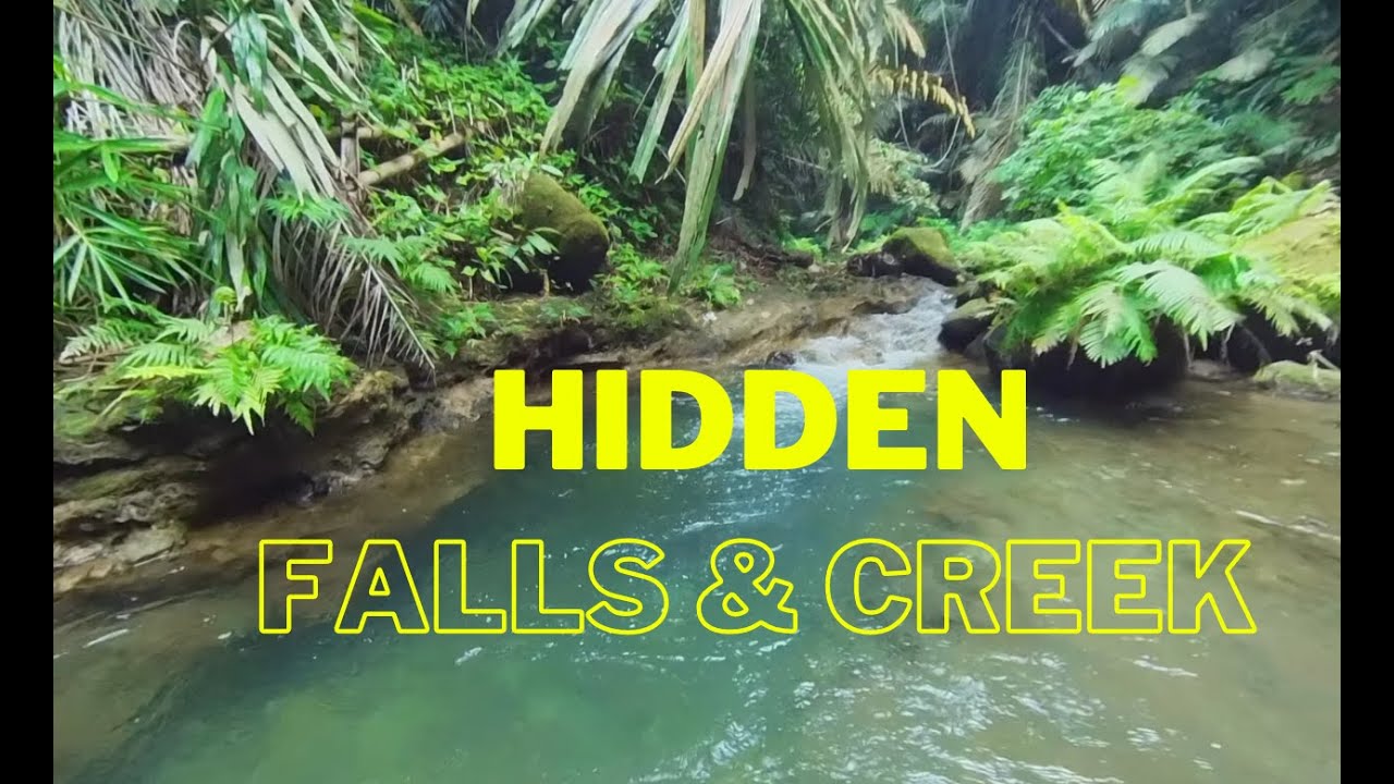 Hidden Falls & Creeks in INDANG CAVITE │ WALK TOUR Episode - YouTube