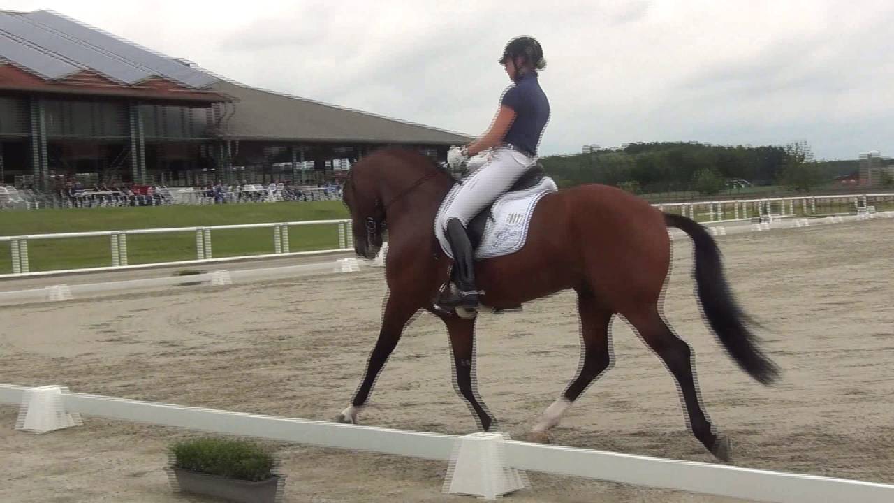 FIRST AMPERE & Tessa Frank - 2. Sichtung zur WM der Jungen ...