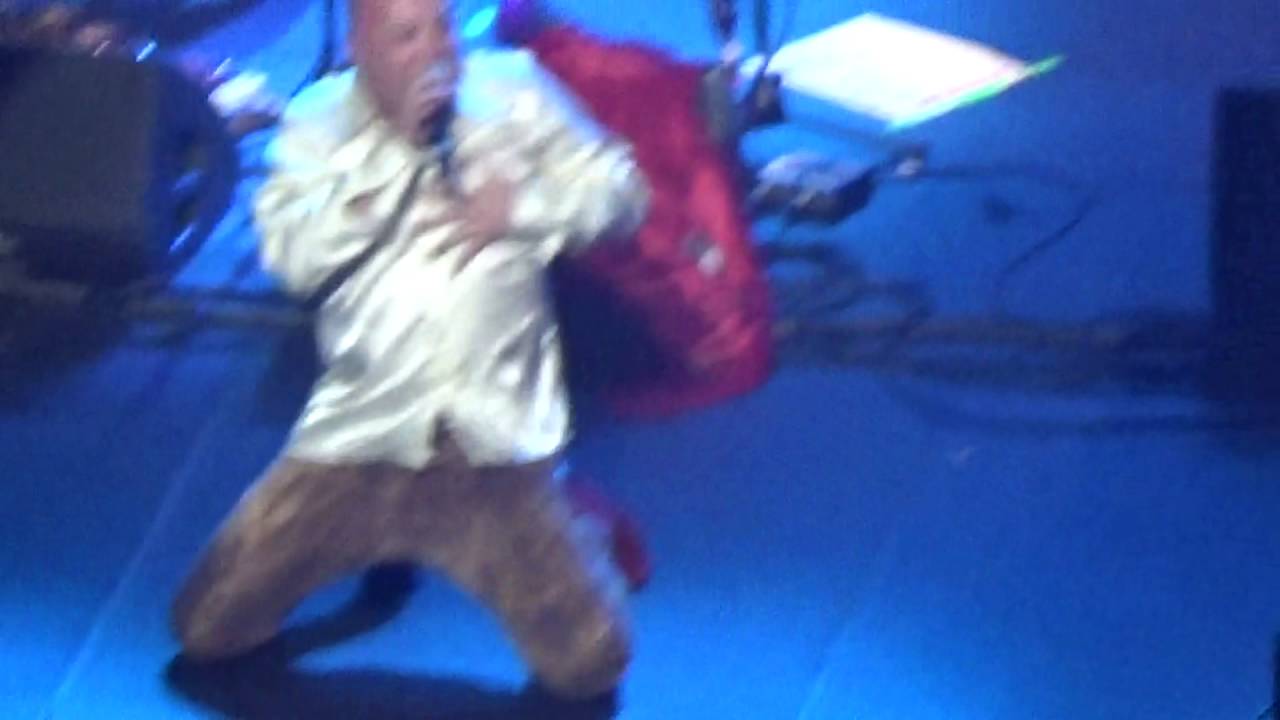 Adam Thompson (Chocolate Starfish)- You're So Vein. Palais. Pure Gold ...